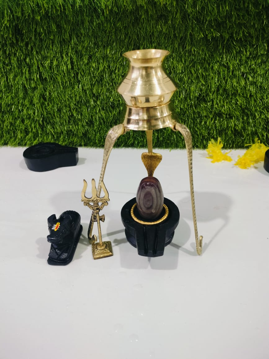 jayshreeshivlingart.in